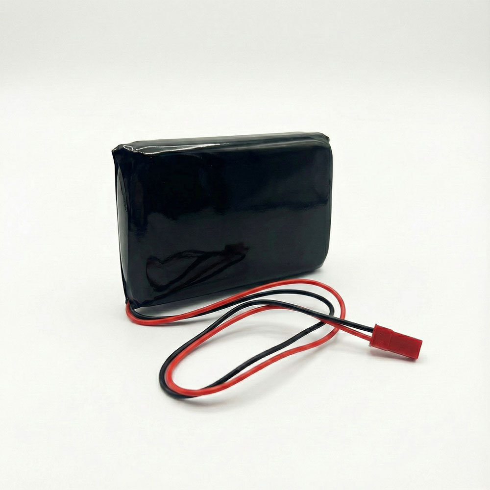 4x Extended Battery for Atom & Nano (Standard/4K)